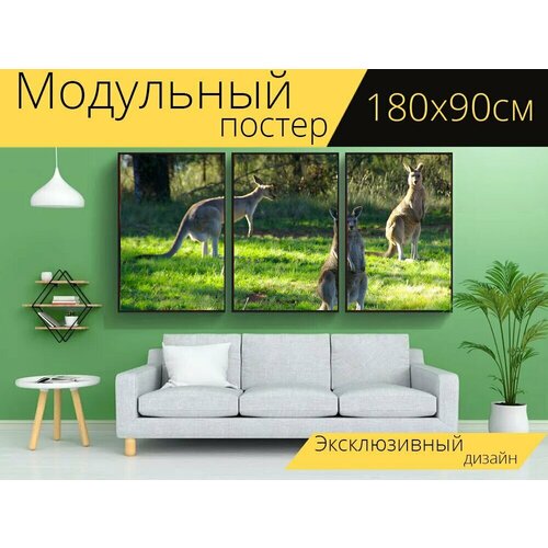 Модульный постер "Кенгуру, животное, прыгать" 180 x 90 см. для интерьера