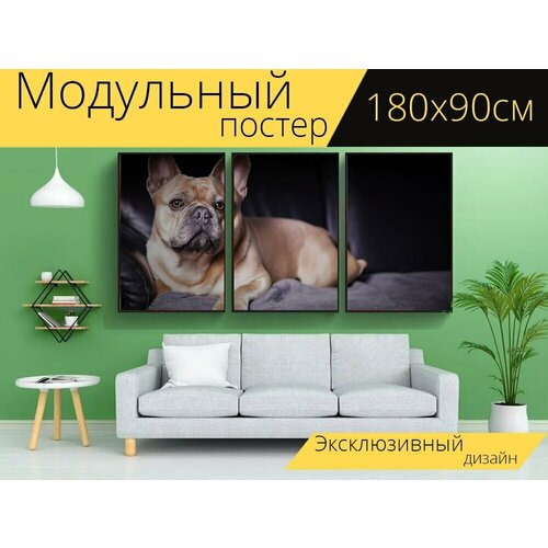 Модульный постер "Французский бульдог, собака, лапа" 180 x 90 см. для интерьера