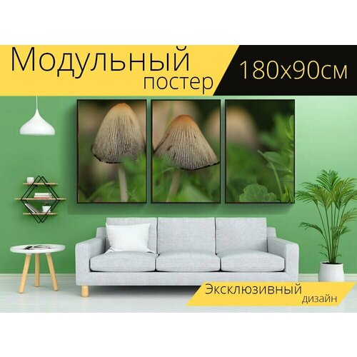 Модульный постер "Гриб, грибы, лес" 180 x 90 см. для интерьера