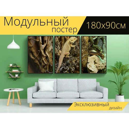 Модульный постер "Бородатая агама, рептилия, террариум" 180 x 90 см. для интерьера