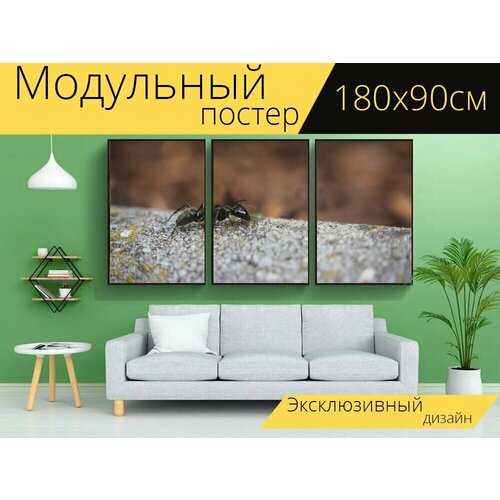 Модульный постер "Муравей, насекомые, природа" 180 x 90 см. для интерьера