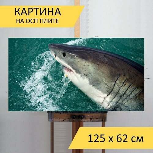 Картина на ОСП 125х62 см. "Акула, опасность, акулы" горизонтальная, для интерьера, с креплениями