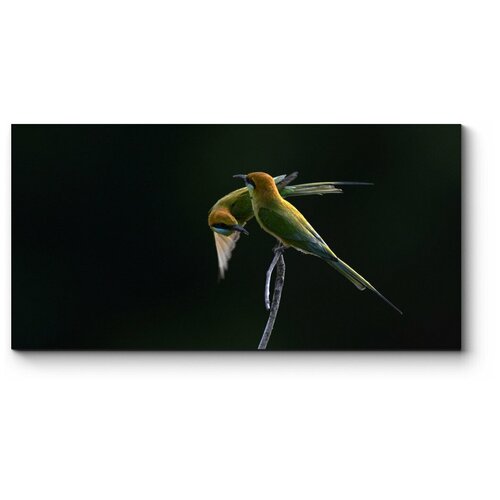 Модульная картина Потрясающие птицы 90x45