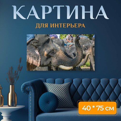 Картина на холсте "Слон, азия, азиатский" на подрамнике 75х40 см. для интерьера