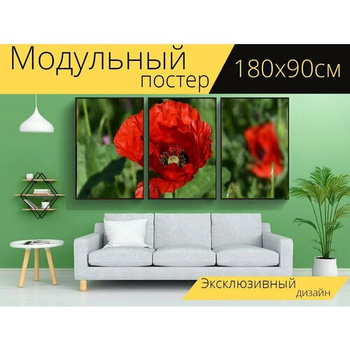 Модульный постер "Цветок, мак, лепестки" 180 x 90 см. для интерьера
