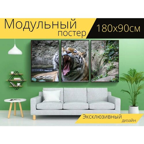 Модульный постер "Тигр, кошка, дикая кошка" 180 x 90 см. для интерьера