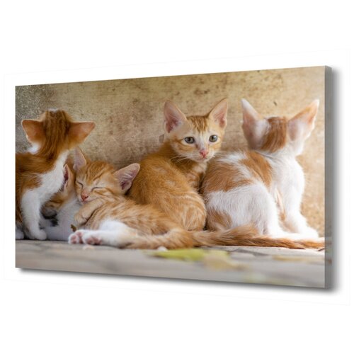 Картина на холсте "Рыжие котята" PRC-428 (45x30см). Натуральный холст