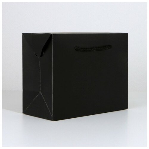Дарите Счастье Пакет — коробка "Чёрный", 28 × 20 × 13 см