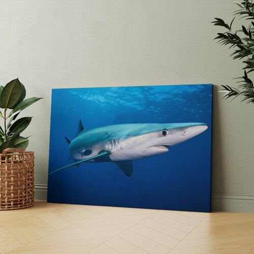 Картина на холсте (акула мако голубая большая серая) 20x30 см/для интерьера/в комнату/на стену/в подарок