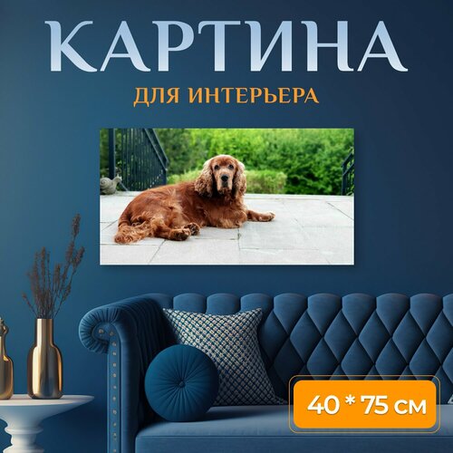 Картина на холсте "Собака, кокер спаниель, милый" на подрамнике 75х40 см. для интерьера