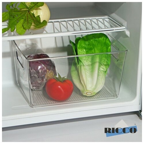 RICCO Контейнер для холодильника RICCO, 29×20,5×15,5 см, цвет прозрачный