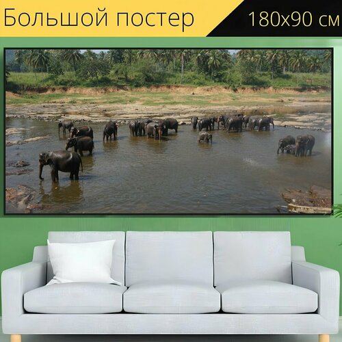 Большой постер "Слон, ванна, река" 180 x 90 см. для интерьера