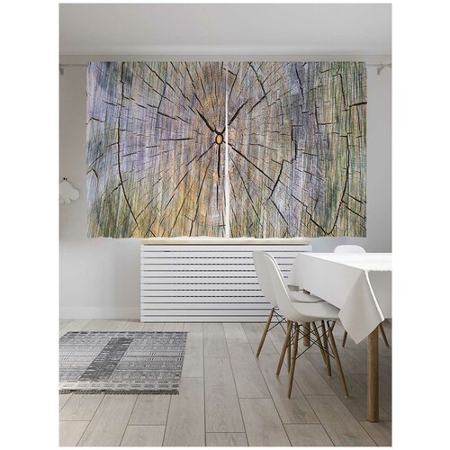 Классические шторы JoyArty "Срез дерева", серия Oxford DeLux, 2 полотна 145x180 см