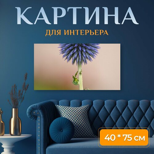 Картина на холсте "Мордовник, цветок, завод" на подрамнике 75х40 см. для интерьера
