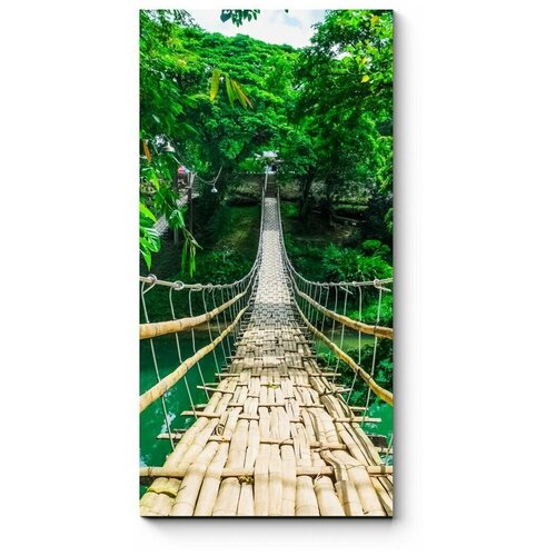Модульная картина Бамбуковый пешеходный подвесной мост через реку в тропическом лесу 30x60