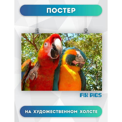 Постер на холсте Попугай (49) 40х60 см