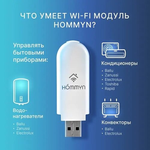 Съёмный модуль управления Hommyn