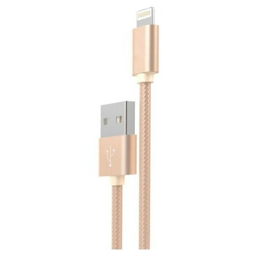 Кабель USB - Apple lightning Hoco X2 Rapid, 100 см, Золотой