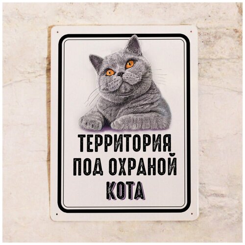 Металлическая табличка для интерьера дома Территория под охраной британского кота владельцу кота , металл, 20х30 см