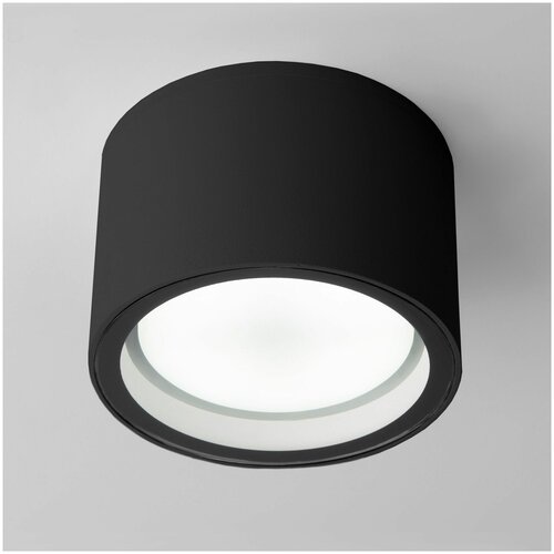 Уличный потолочный светильник Elektrostandard Light 26231 IP54 цвет черный