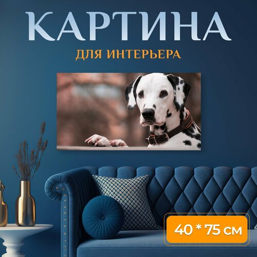 Картина на холсте "Собака, портрет, млекопитающее" на подрамнике 75х40 см. для интерьера
