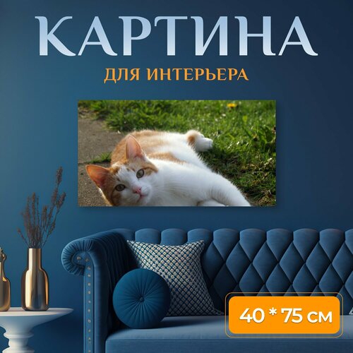 Картина на холсте "Кот, похмелье, домашняя кошка" на подрамнике 75х40 см. для интерьера