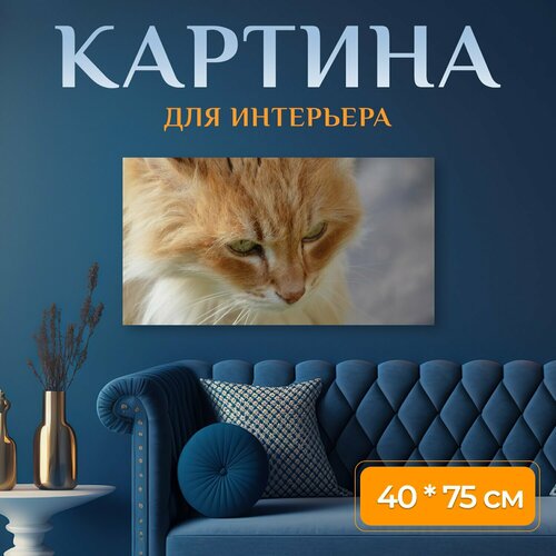Картина на холсте "Кошка, портрет, глаза" на подрамнике 75х40 см. для интерьера