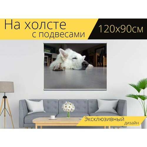 Картина на холсте "Швейцарская белая овчарка, белая собака, собака" с подвесами 120х90 см. для интерьера