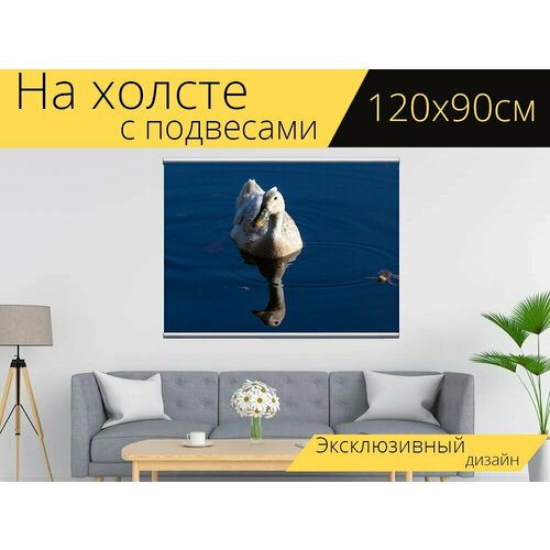 Картина на холсте "Бегун утка, белая утка на озере, белая утка плавание" с подвесами 120х90 см. для интерьера