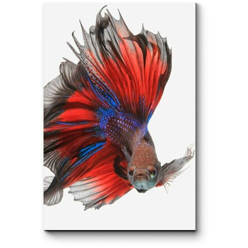 Модульная картина Летающая рыба 20x30