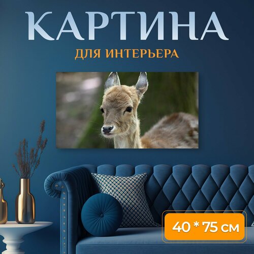 Картина на холсте "Лань, млекопитающее, животное" на подрамнике 75х40 см. для интерьера