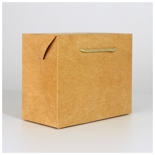 Пакет — коробка «Крафтовый», 23 × 18 × 11 см