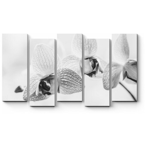 Модульная картина Черно-белые орхидеи 140x81