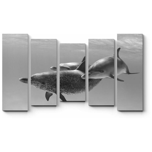 Модульная картина Трио пятнистых дельфинов 170x102