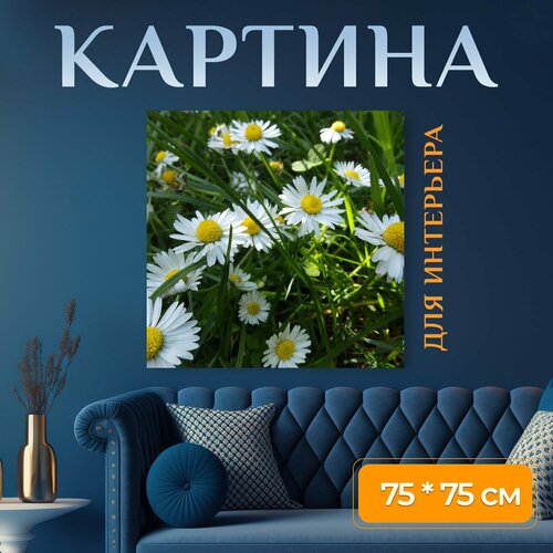 Картина на холсте "Маргаритки, весна, цветы" на подрамнике 75х75 см. для интерьера