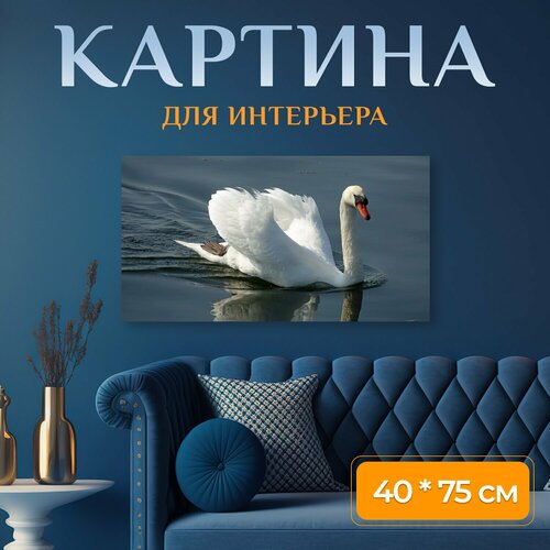 Картина на холсте "Лебедь, лебеди, водоплавающих птиц" на подрамнике 75х40 см. для интерьера