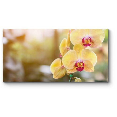Модульная картина Чарующая орхидея 110x55