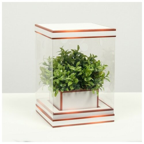 Коробка для цветов с вазой и PVC окнами складная, бронза, 16 х 23 х 16 см