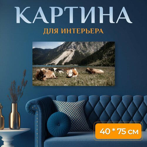 Картина на холсте "Коровы, пастбище, альпийский" на подрамнике 75х40 см. для интерьера