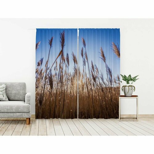 Комплект штор из блэкаута, Пшеничное поле, 150/260 - 2 полотна