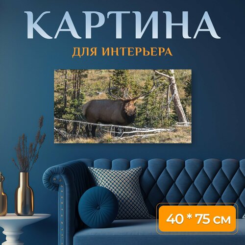 Картина на холсте "Лось, бык, природа" на подрамнике 75х40 см. для интерьера