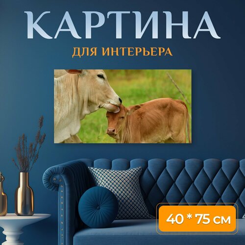 Картина на холсте "Любовь, телец, домашний скот" на подрамнике 75х40 см. для интерьера