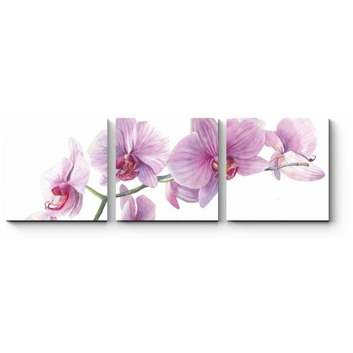 Модульная картина Ветка чудесной орхидеи 110x37