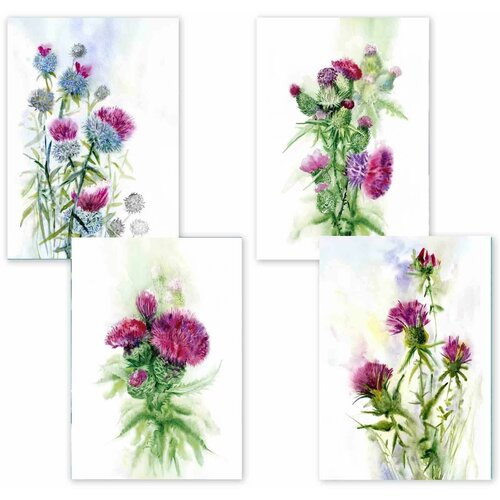 Набор (комплект) из 4х Ботанических Постеров "Летние цветы с нашего луга" 41Х30 см. Серия "Полевые цветы"