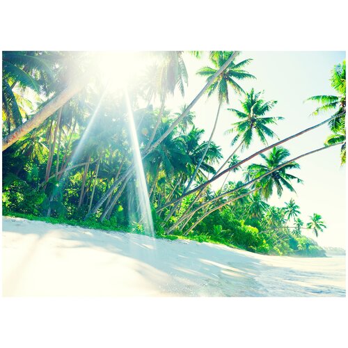 Постер / Плакат / Картина Тропический пляж на Самоа 40х50 см в раме