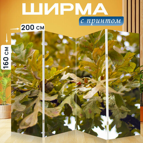 Ширма перегородка с принтом "Дуб, листья, осень" на холсте - 200x160 см. для зонирования, раскладная