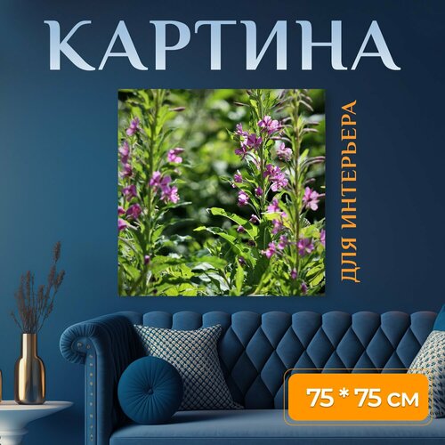 Картина на холсте "Кипрей, цветок, розовый" на подрамнике 75х75 см. для интерьера