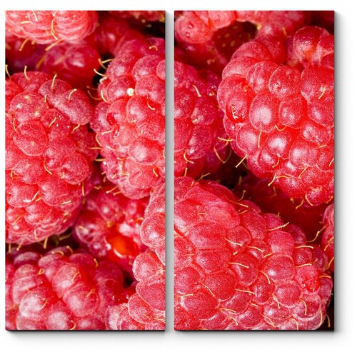 Модульная картина Крупные ягоды малины 110x110