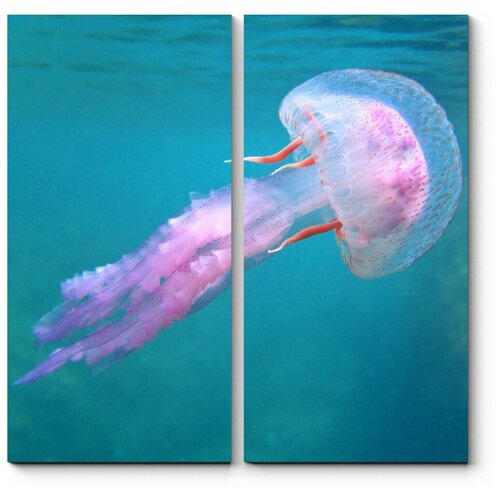 Модульная картина Опасная розовая красавица-медуза 50x50