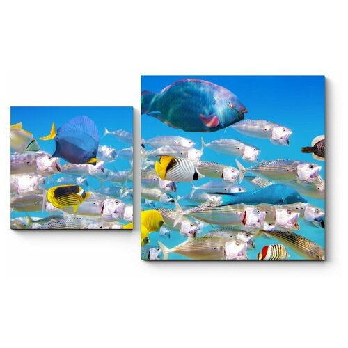 Модульная картина Разноцветные жители океана 50x30